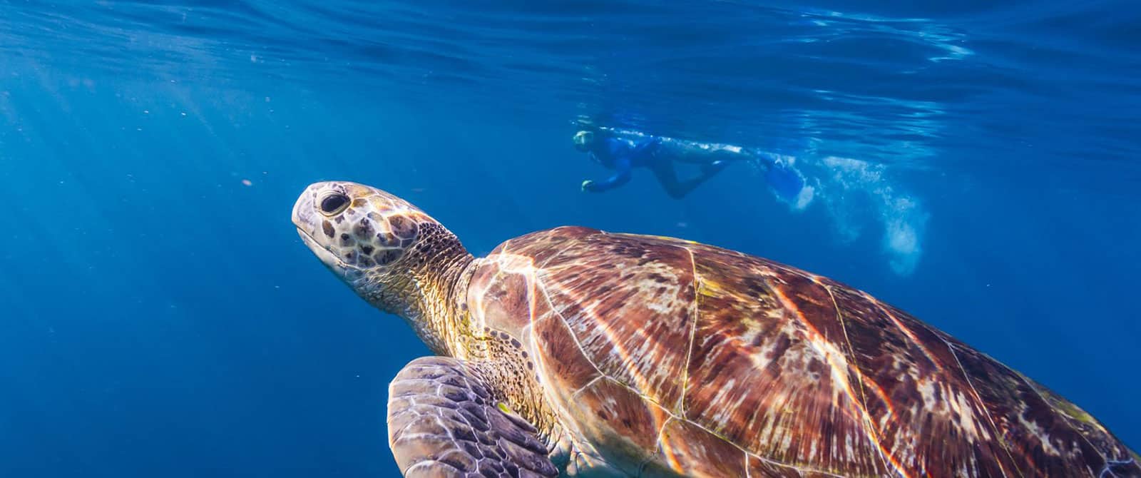 Saint Brandon Sanctuary | Fishing and Kitesurfing trips in paradise ...